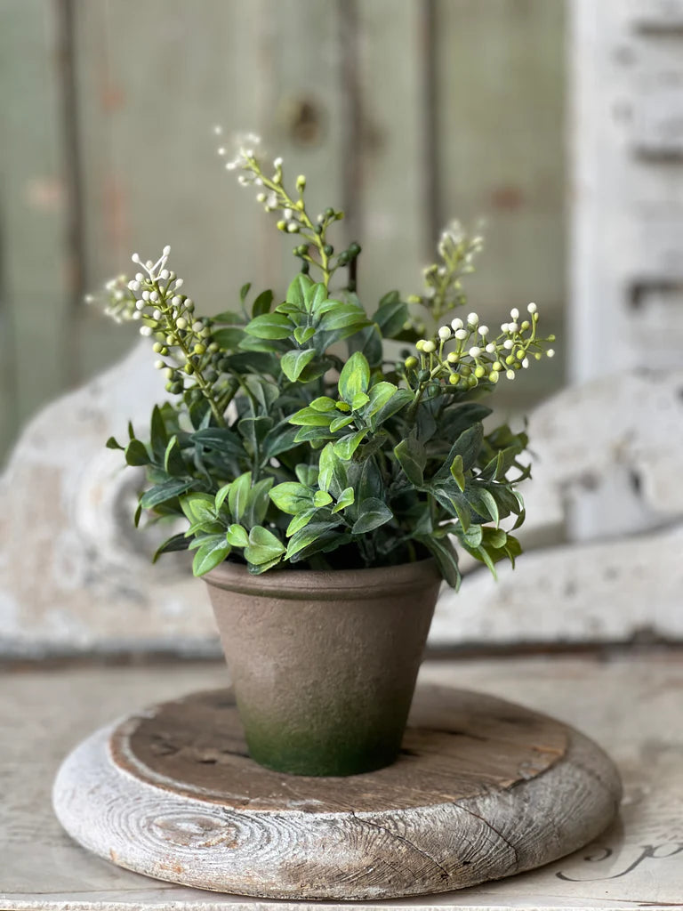 Pinch Berries Pot, 12" – The Cook's Nook